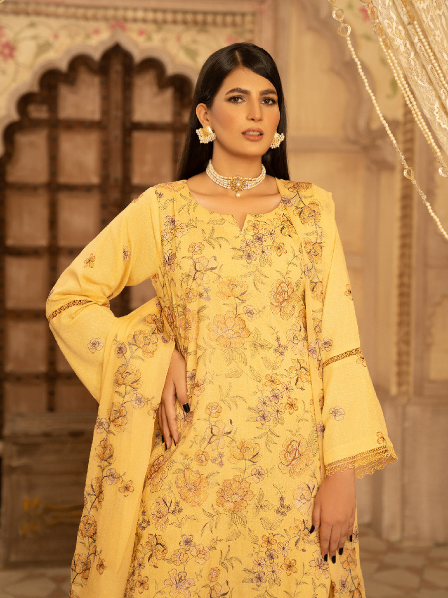 Karandi-FFDW-B3-FA-11-Embroidered-Karandi-3pc – FEROZA OFFICIAL